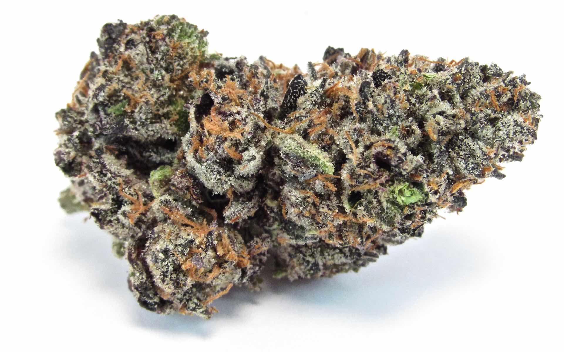 Purple BALLIN OUT - PHOTO - NUKEHEADS GENETICS